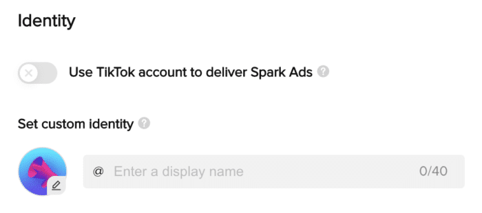 Custom Identity TikTok: How to personalize your ads?